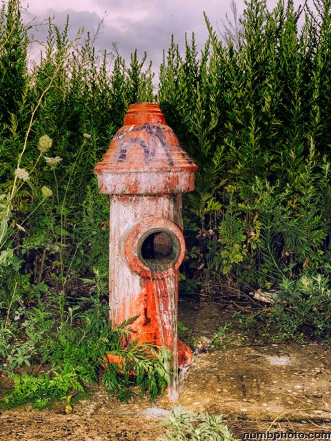 The 8 sexiest fire hydrants in Philadelphia - On top of Philly news