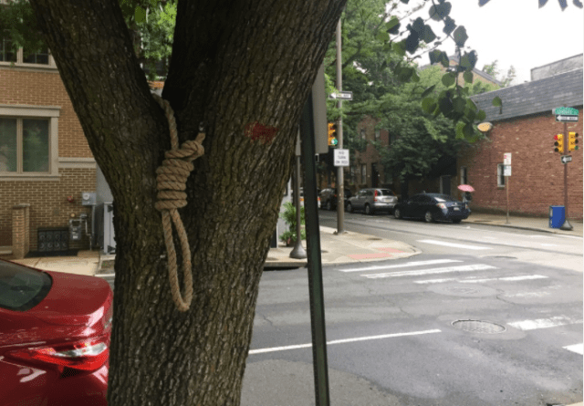 Philly police investigating noose in a tree in Rittenhouse - On top of ...