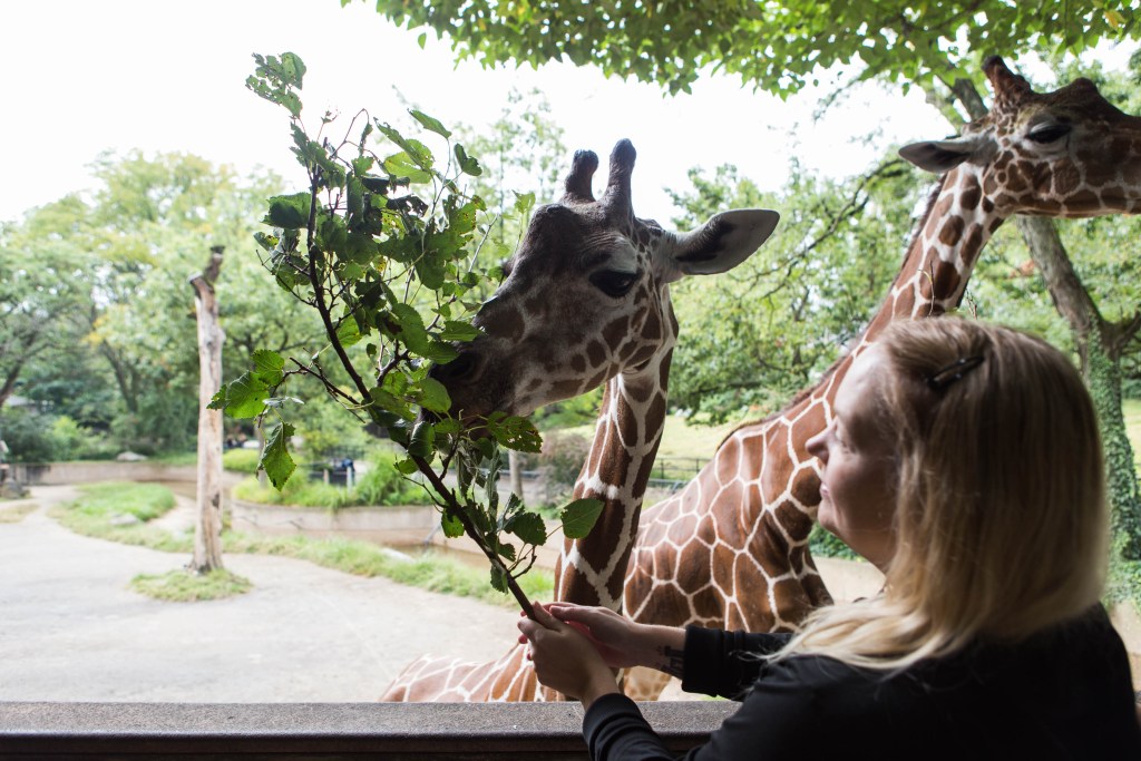 What Philadelphia Zoo animals eat - On top of Philly news