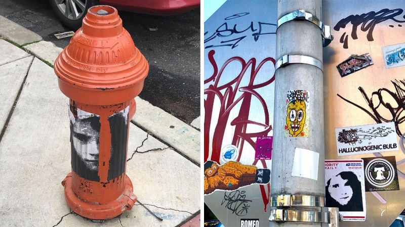 The 'Anti Flower Show Movement' and the black and white photo sticker ...