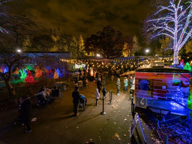 Philly Zoo holiday light show: 30 photos of LumiNature - On top of ...