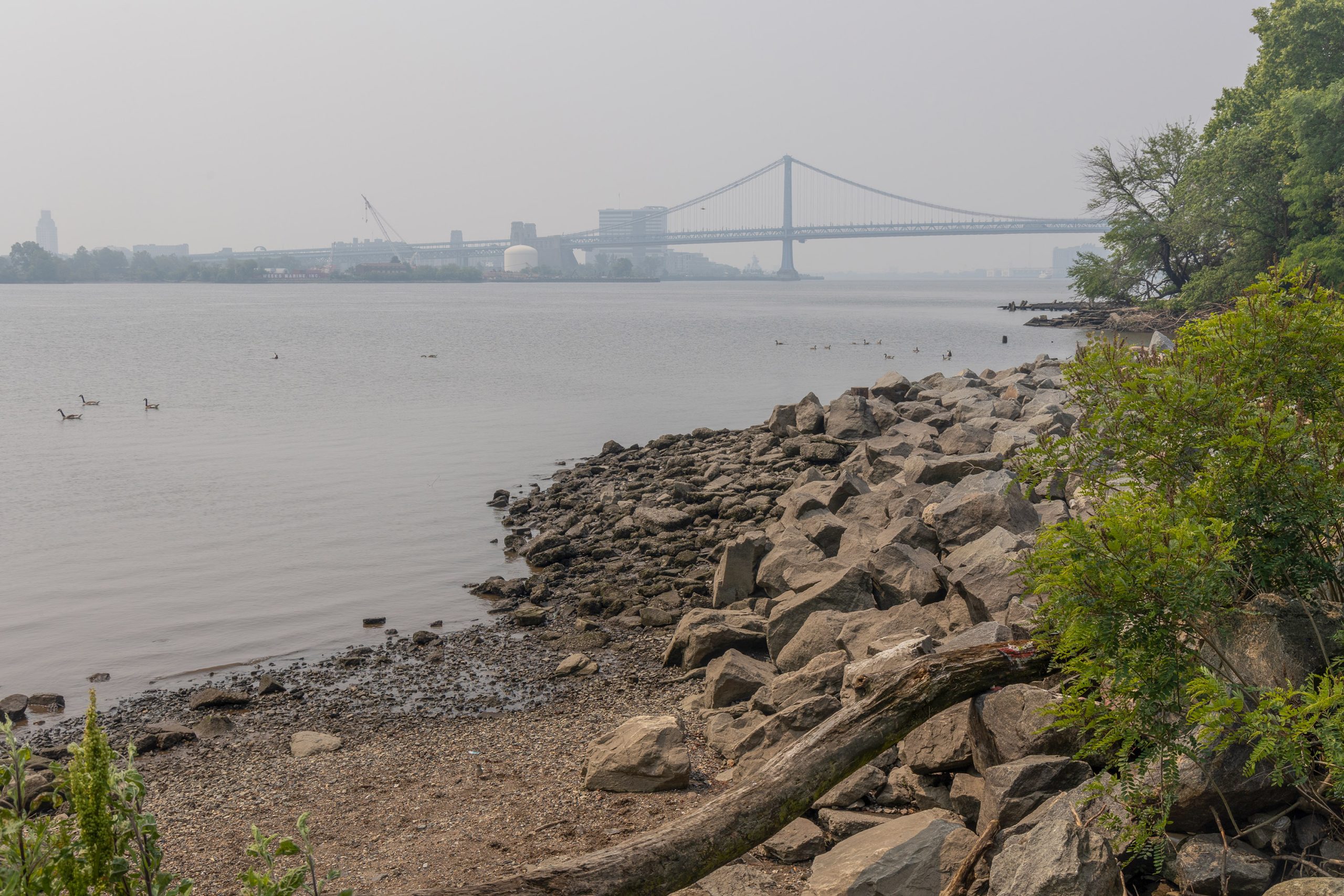 Philadelphia air quality at long-term risk after years of improvement