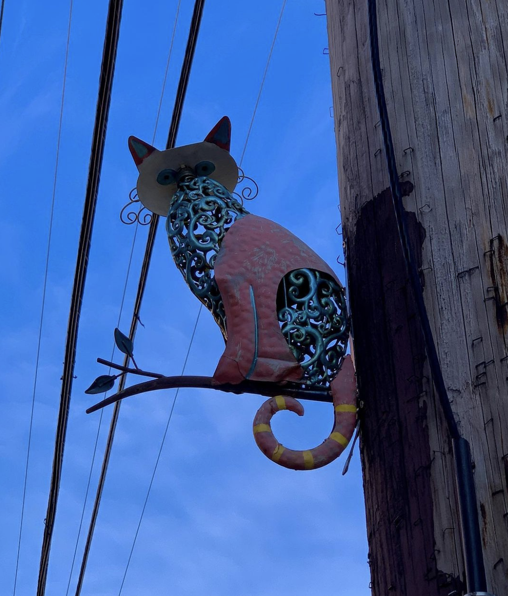Paper bag fee passed; SEPTA strike ends; Arden puppets come alive ...