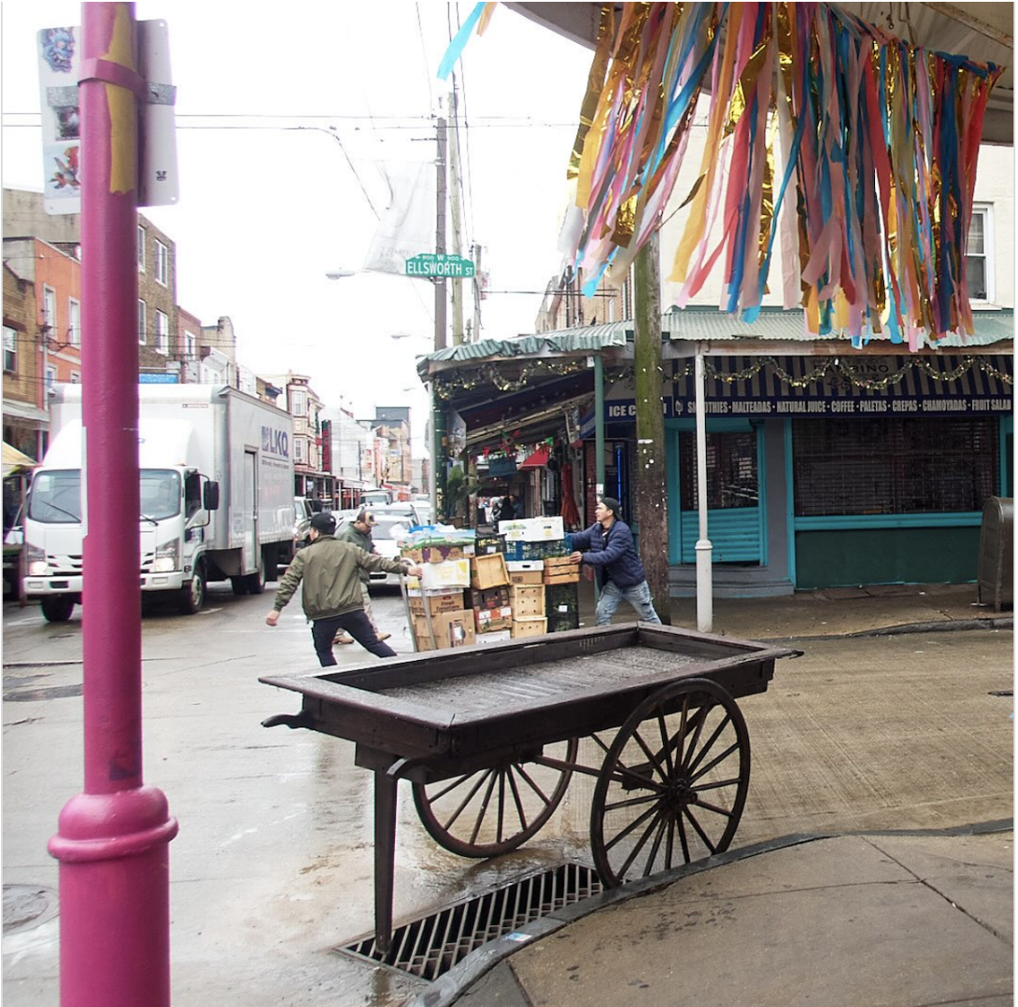 March Mildness; Flower show behind the scenes; LGBT leader arrested ...