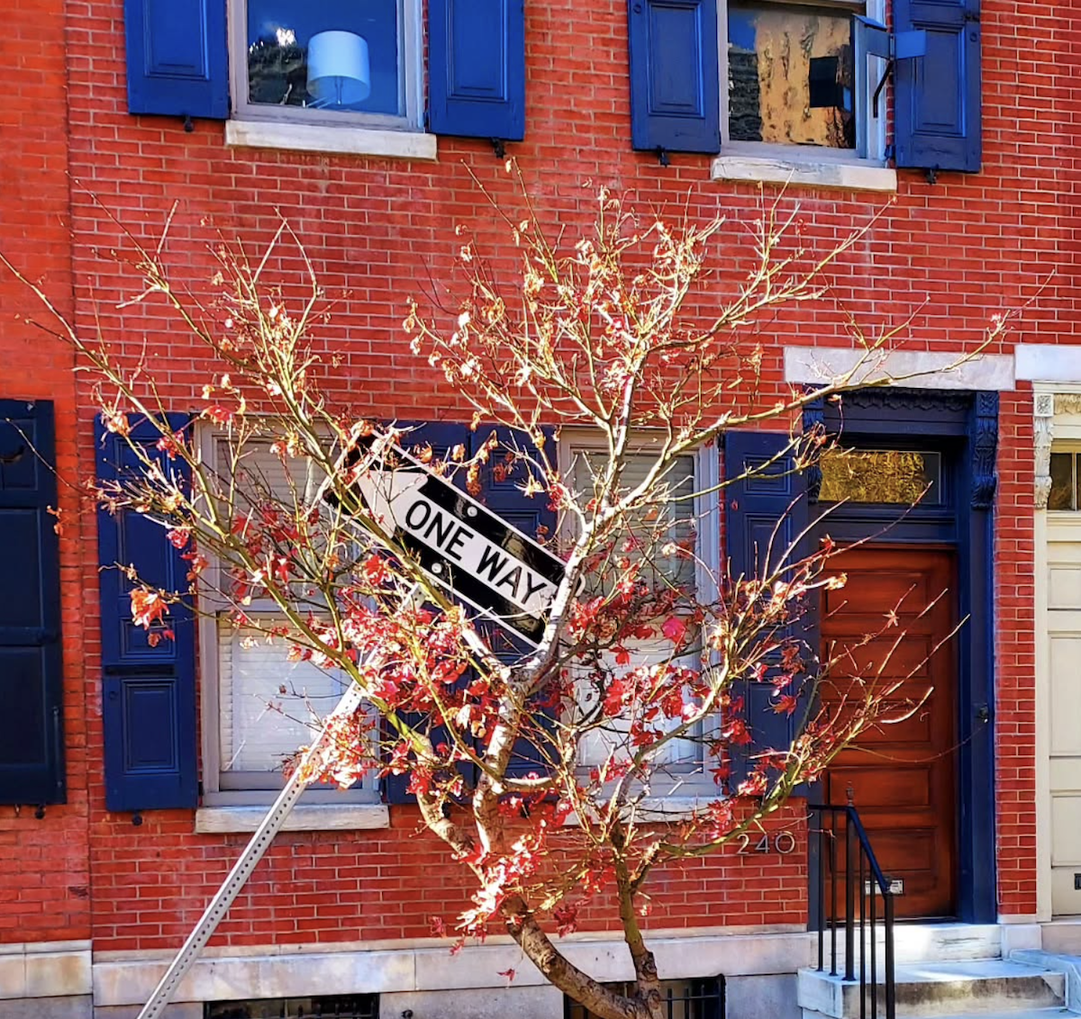 Anxious immigrants; Snow day recap; Explosion victims sue PGW, PECO ...