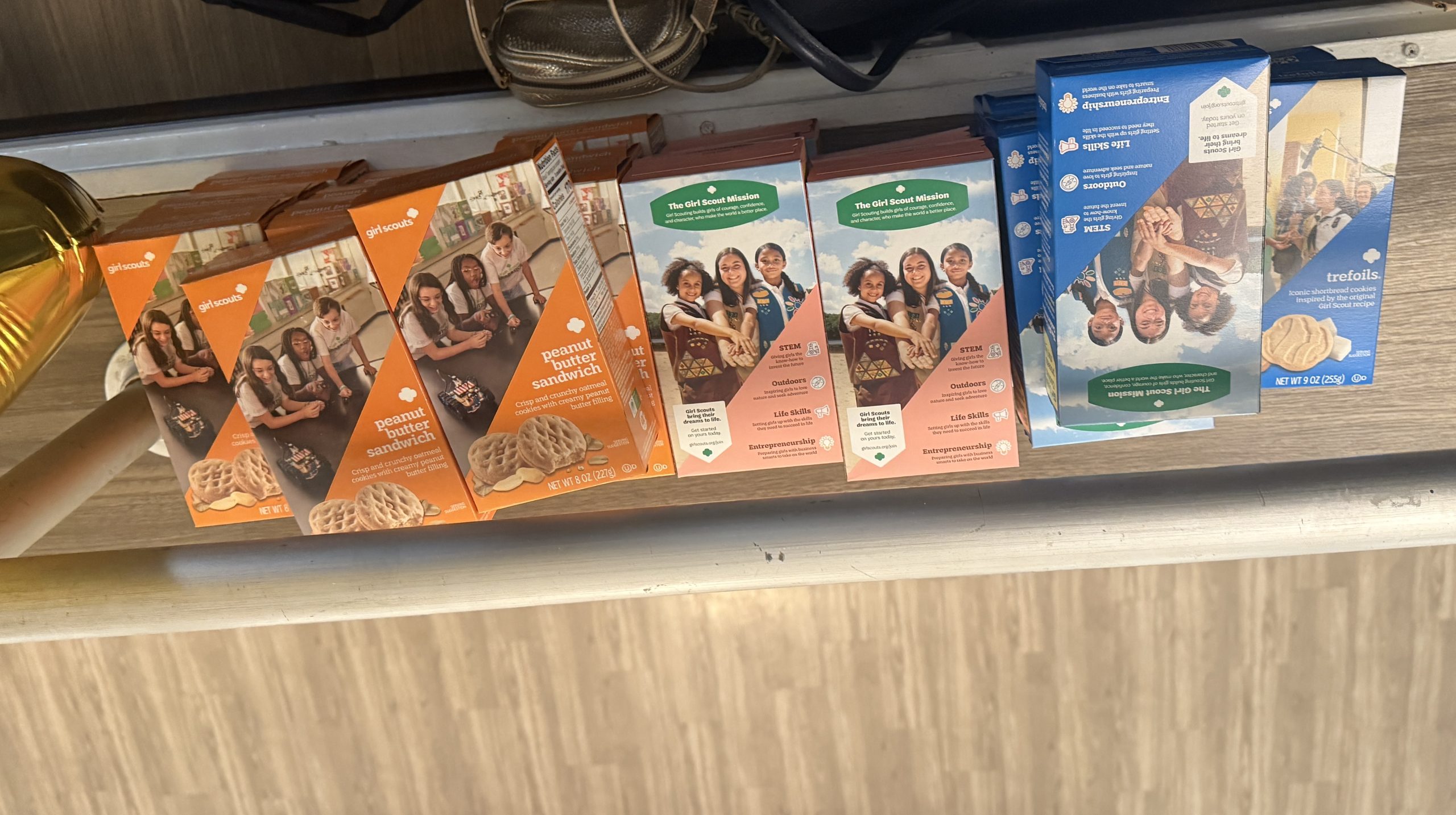 Girl Scouts of Eastern PA celebrate major 'Firstival' milestone