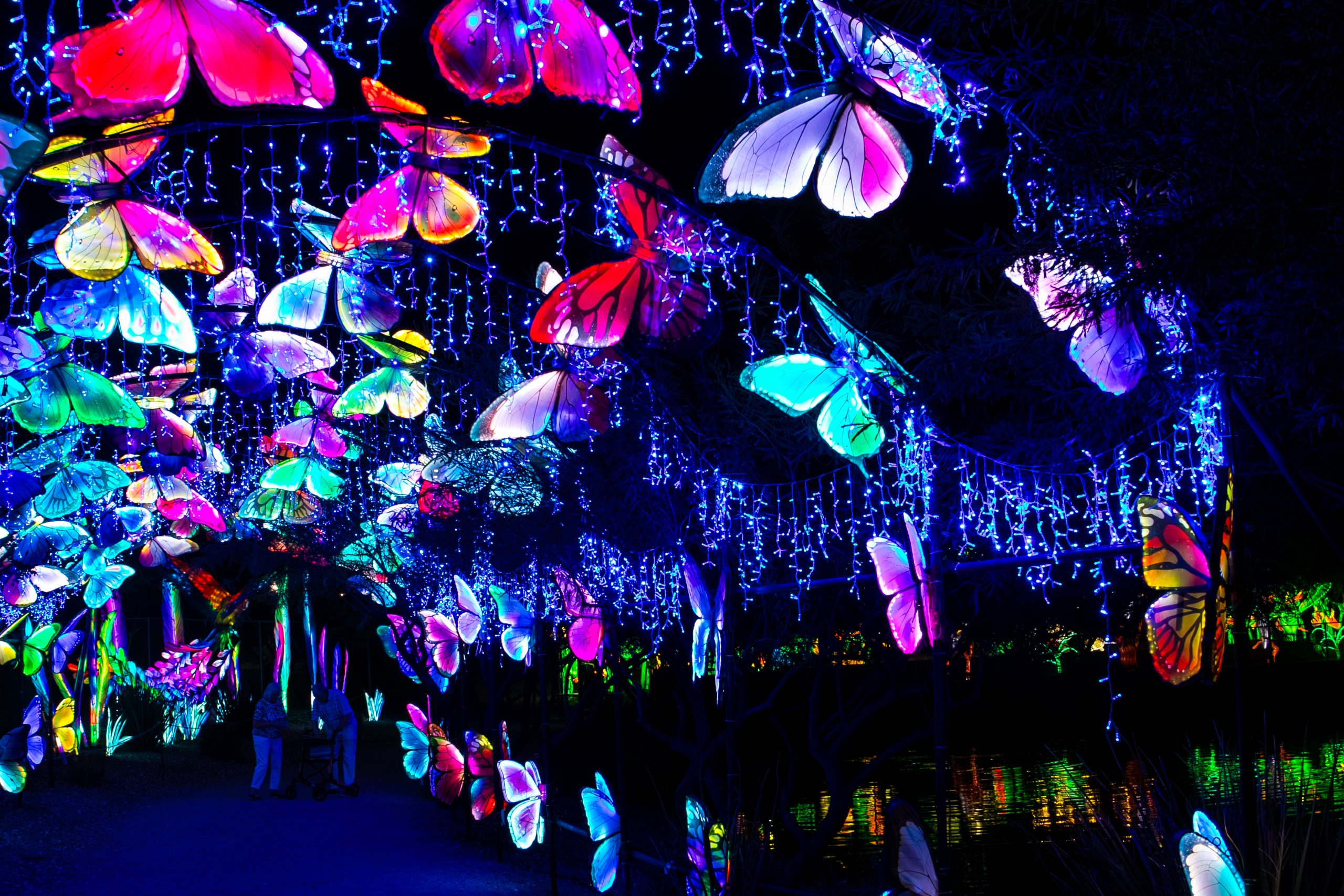 Philly’s Chinese Lantern Fest will be the perfect blend of 250th events ...