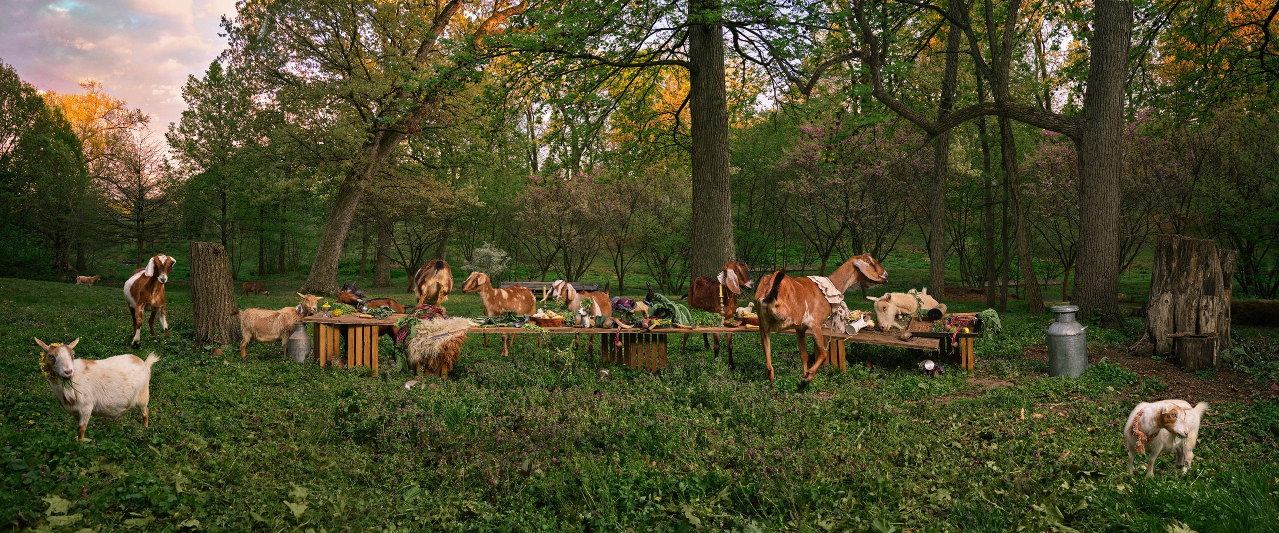 These goats spent a night on the town with Philadelphia’s art world